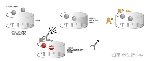 技术 | 一文读懂化学发光免疫测定 - 知乎