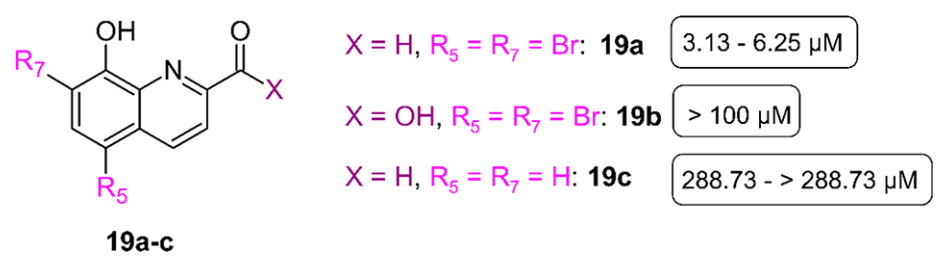 药物发现│新型抗菌 8-羟基喹啉（8HQ）类药物的研究进展 - 知乎