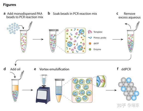微流控-free方法（PIPseq/RevGel-seq，单细胞测序技术的搅局者 - 知乎