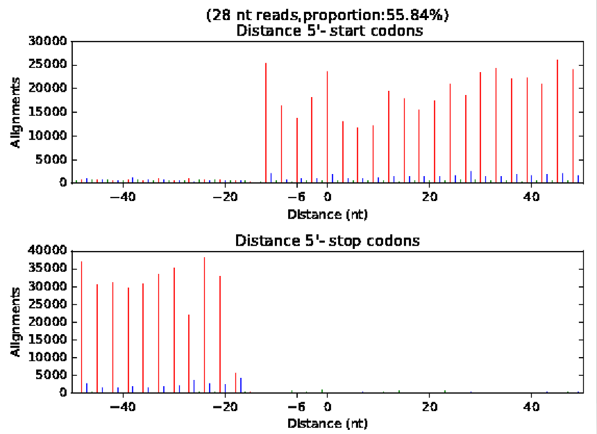 干货分享|Ribo-seq：组学串联的桥梁 - 知乎