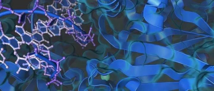 Aiche 集成数学规划方法和深度学习模型的从头药物设计框架 知乎