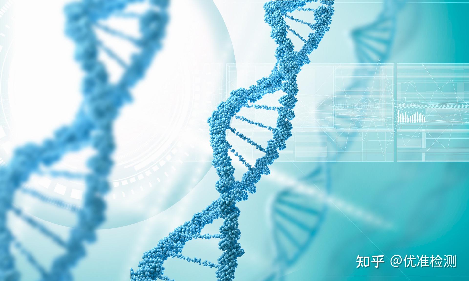 每个人的DNA都不一样，那区别之处在于？——广东优准检测有限公司 - 知乎