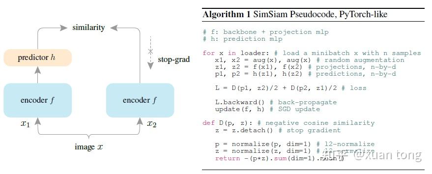 迅速了解SimSiam - 知乎