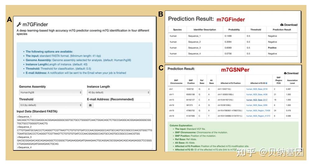 m7GHub V2.0：一个用于解析表观转录组m7G甲基化修饰的数据库 - 知乎