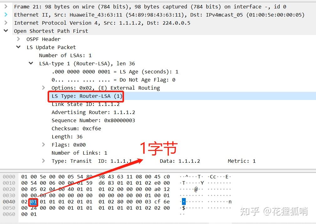 OSPF LSA报文格式总结 - 知乎