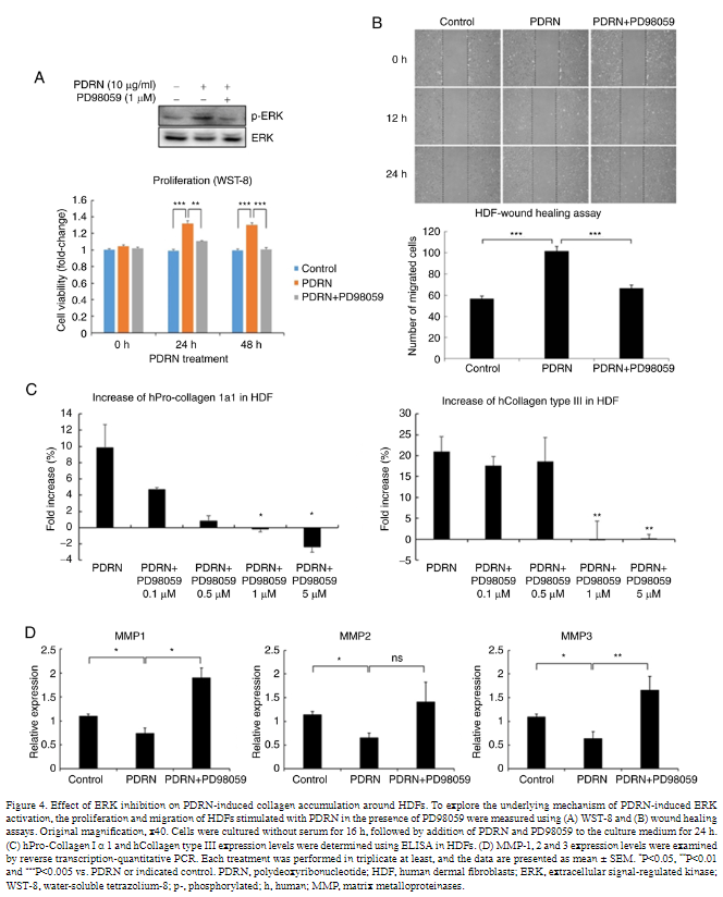 PDRN：多层次抗衰机制 - 知乎