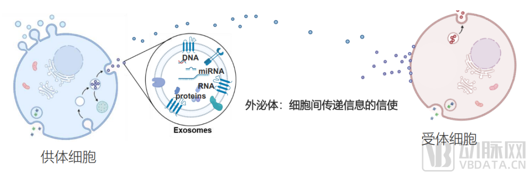 外泌体学界领军人物新动向，专访Xsome创始团队 - 知乎