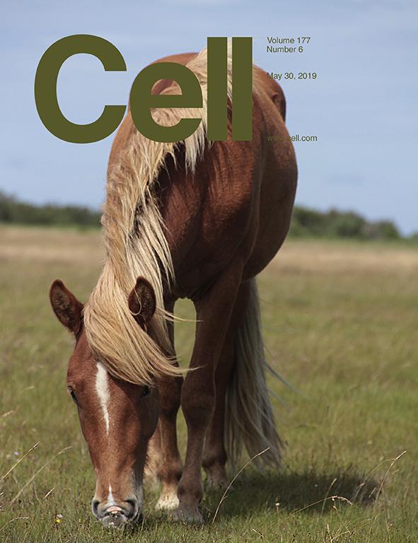 科学与艺术的结合！《CELL》100+张期刊封面鉴赏｜2019年篇 - 知乎