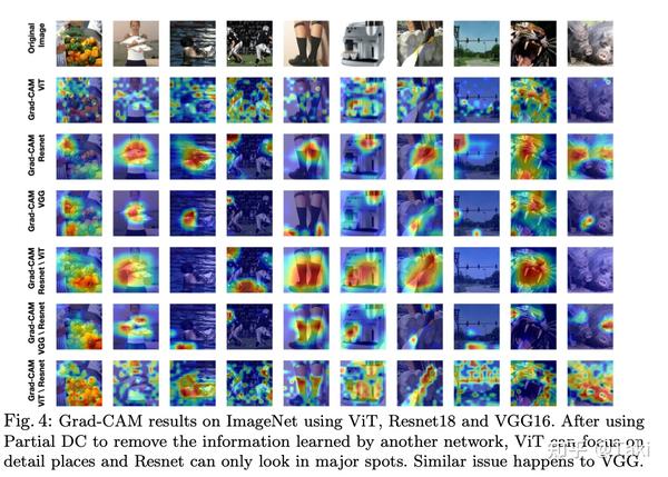 On the Versatile Uses of Partial Distance Correlation in Deep Learning - 知乎