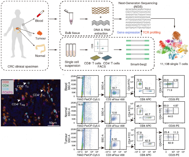 器度宽广 | Singleron PythoN与流式细胞术多维解析细胞 - 知乎