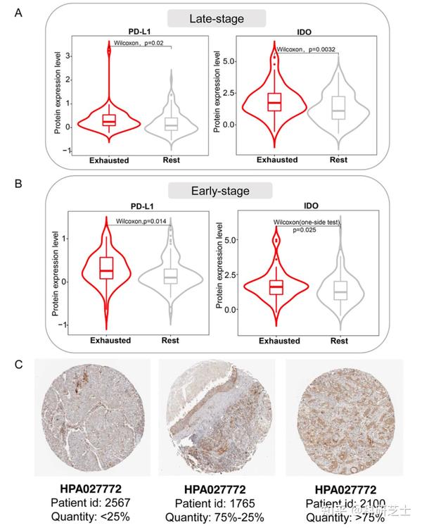 老酒新装！肿瘤免疫亚型鉴定如何突破发15分+SCI - 知乎