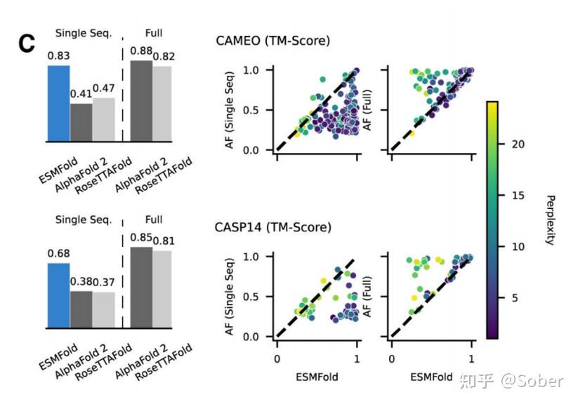 蛋白单序列结构预测模型哪家强？ - 知乎