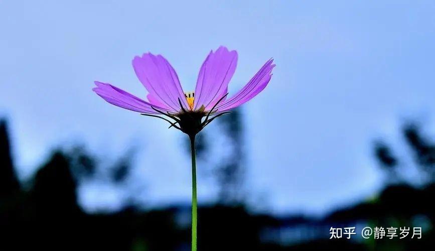 人与人的关系 知乎
