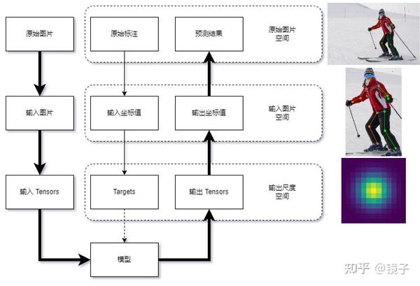MMPose 最强教程——20 分钟了解 MMPose 架构设计 - 知乎