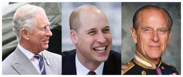 被发际线诅咒的英国王室——一秃秃一窝，到底是谁的锅？ - 知乎