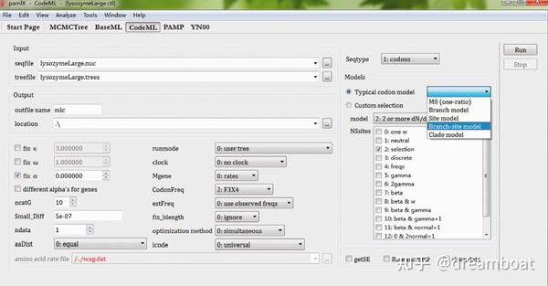 Pamlx进化分析教程 - 知乎