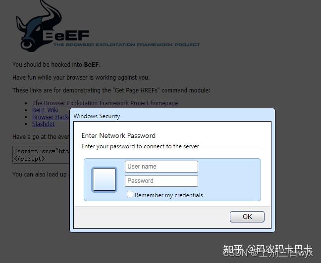 Beefxss使用教程图文教程（超详细） - 知乎