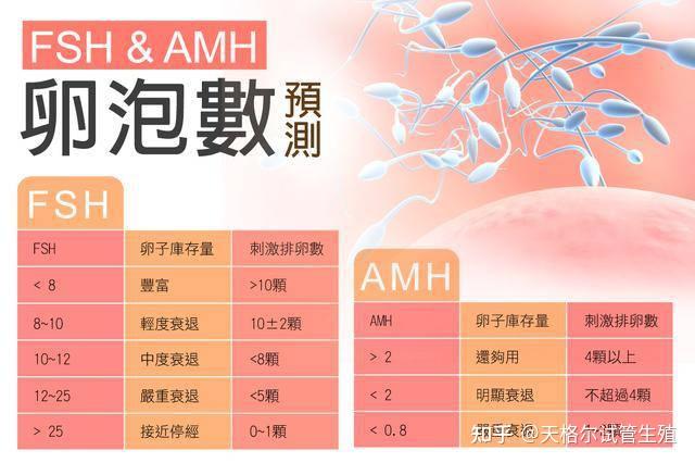 AMH检查到底是什么？手把手教你看懂AMH值！ - 知乎