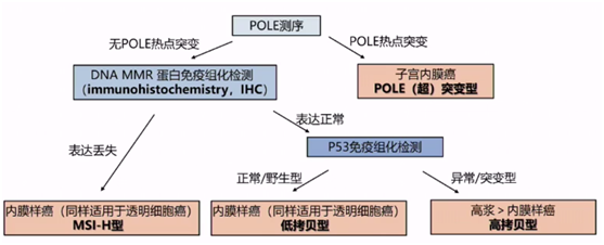子宫内膜癌分子分型学习笔记 - 知乎