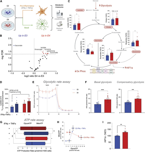 Cell Report | 应用时空组学联合揭示APOE在调节小胶质免疫代谢中的核心作用 - 知乎
