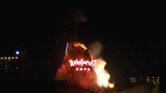Rainforest Cafe凭什么能入驻全球迪士尼园区？ - 知乎