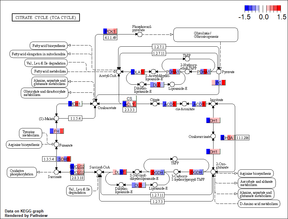 干货分享 | 实现通路与组学数据的结合，一个pathview就够啦！ - 知乎