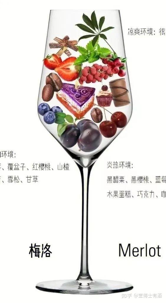 到底什么是左岸右岸？说得这么高大上？ - 知乎