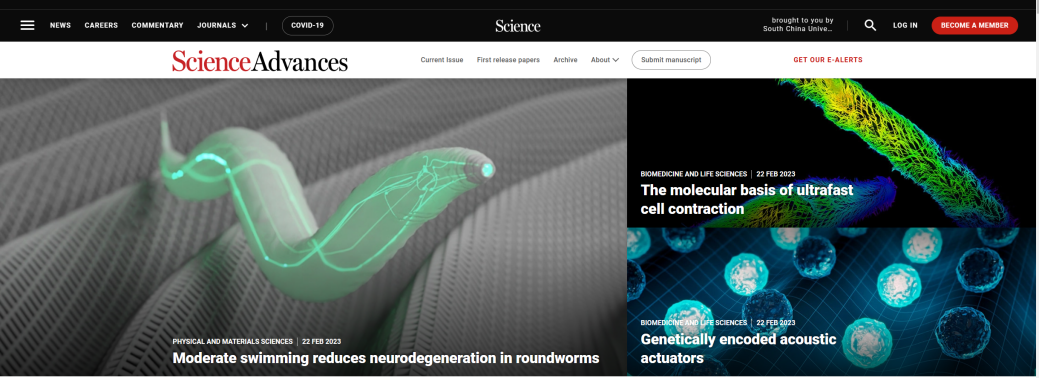 秃头整理！期刊刺客，鱼目混珠顶包正版期刊， - 知乎