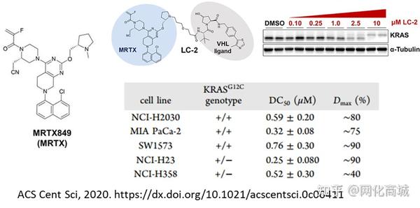 新药研发利器：PROTAC技术（最全解读） - 知乎