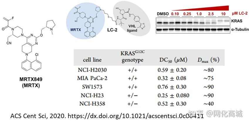 新药研发利器：PROTAC技术（最全解读） - 知乎