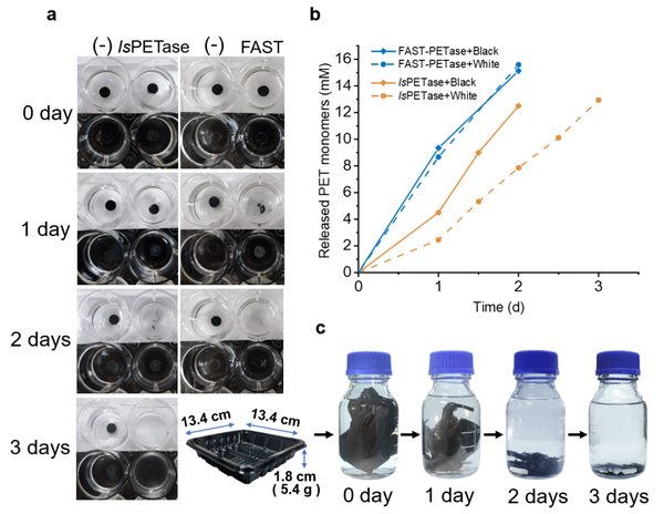Commun Biol︱马立新/翟超团队揭示通过毕赤酵母糖基化修饰可应用于大规模制备高活性、高热稳定性塑料降解酶 - 知乎