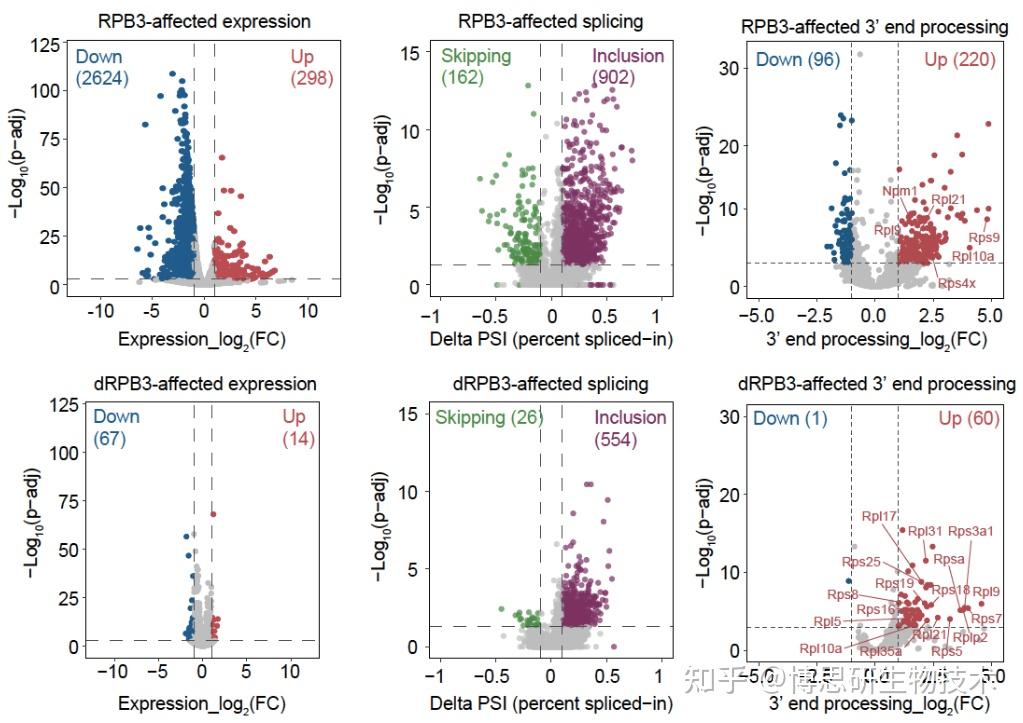 Mol Cell | 季雄团队揭示RNA聚合酶II亚基的非经典调控功能 - 知乎