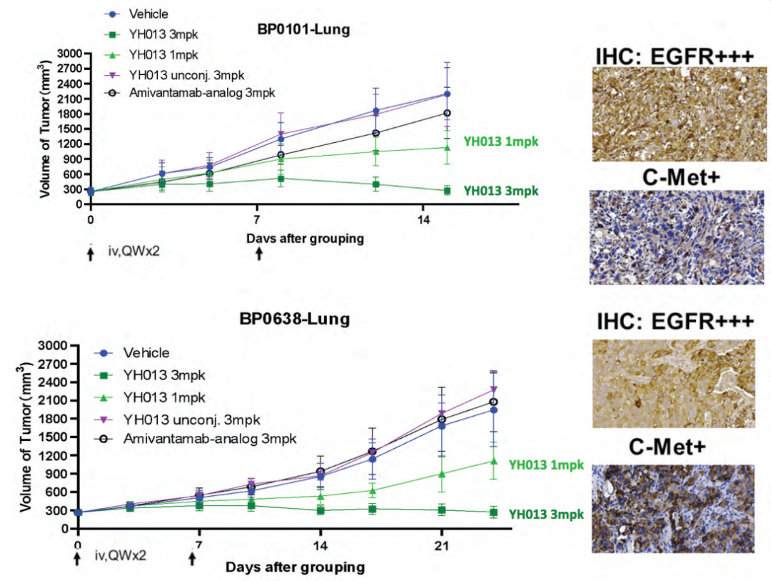AACR 2023：掌握双抗黄金矿脉，挖呀挖呀挖 - 知乎