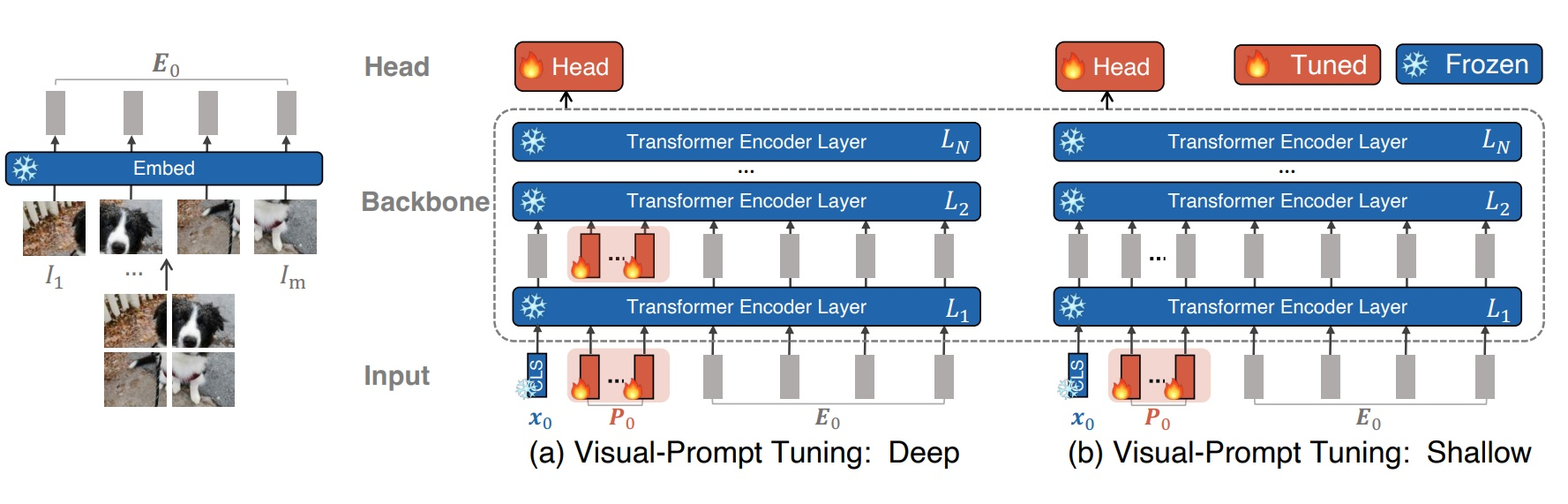一文了解prompt learning在计算机视觉领域进展 - 知乎