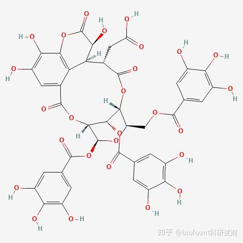 Chebulinic Acid（诃子林鞣酸） - 知乎