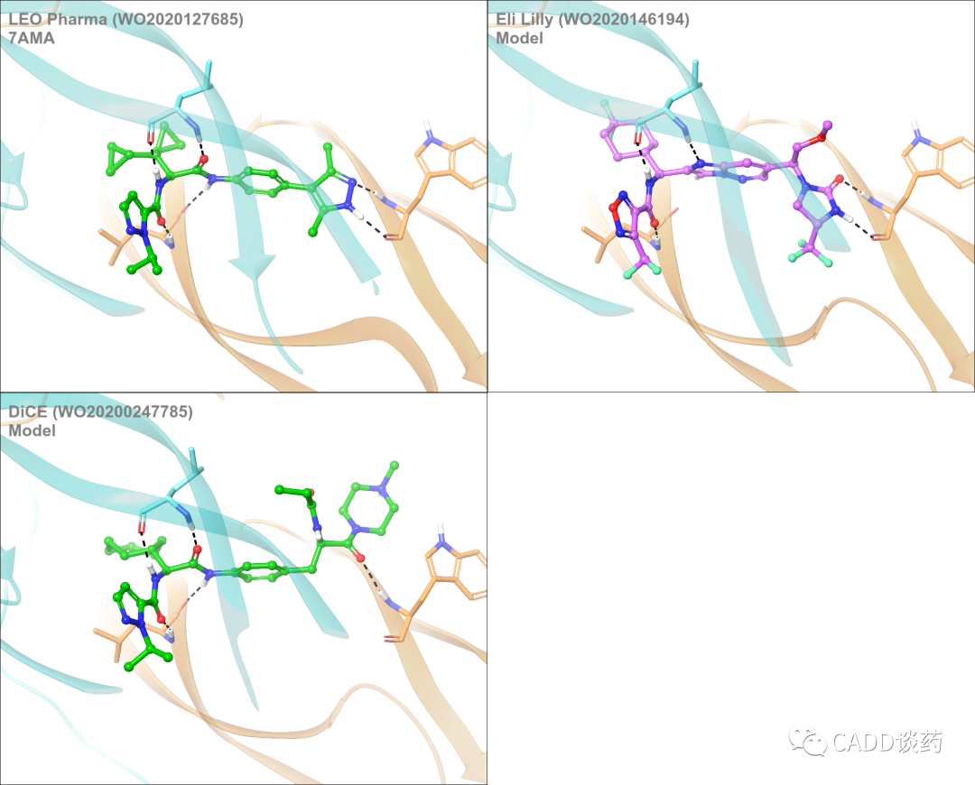 简谈DICE公司IL-17A分子 - 知乎