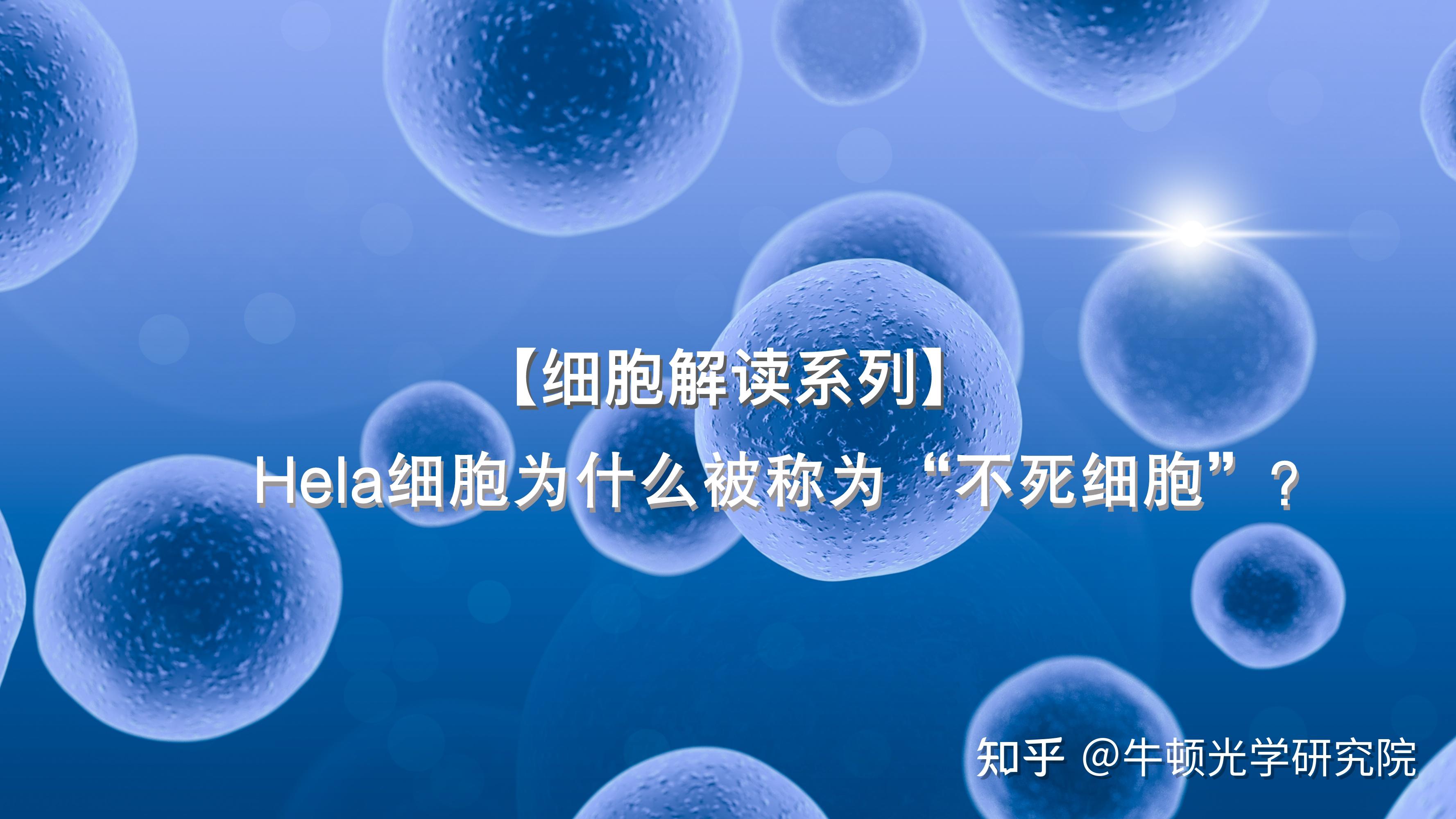 Hela细胞为什么会被称为“不死细胞”？ - 知乎