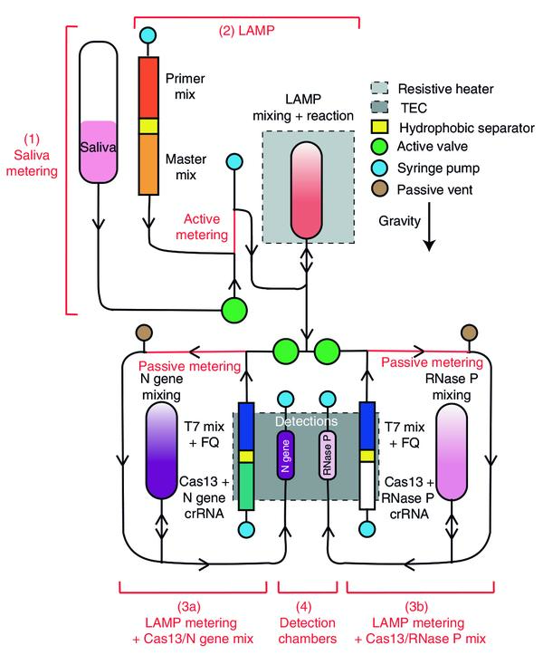 新型 DISCoVER 技术，更便携、更灵敏的多重 POCT 分子诊断方案 - 知乎