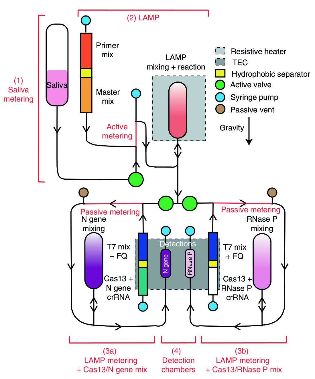 新型 DISCoVER 技术，更便携、更灵敏的多重 POCT 分子诊断方案 - 知乎
