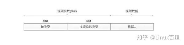 【FFmpeg实战】FLV封装格式介绍及解析 - 知乎