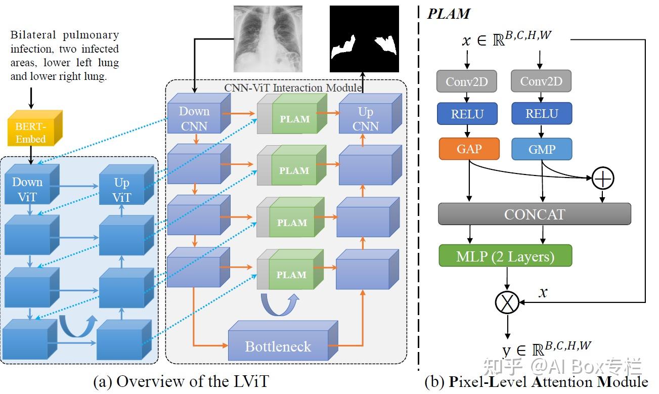 Multimodality in Medical Domain：一文速览医学多模态进展 - 知乎