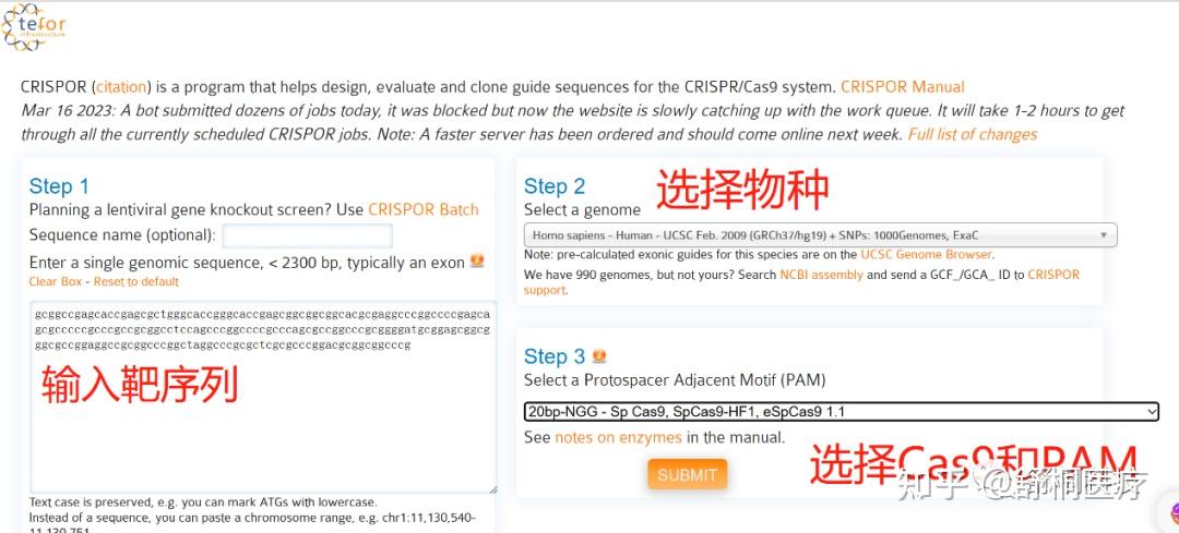 知识分享 | CRISPR/Cas9之sgRNA的设计 - 知乎