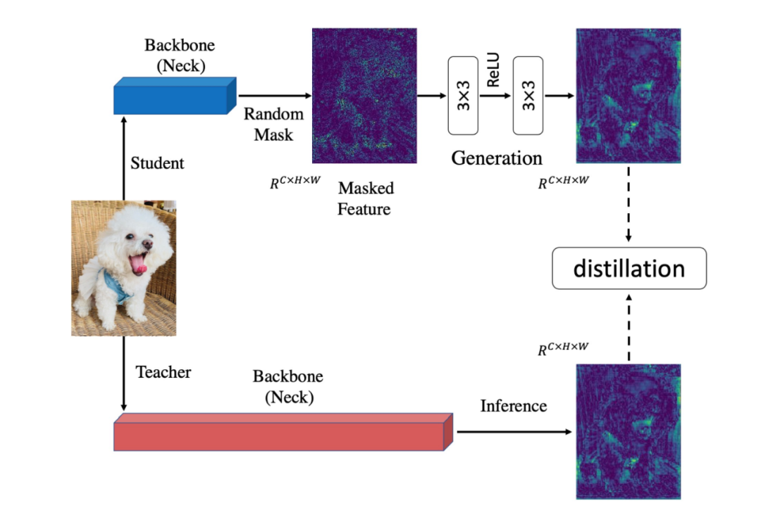 ECCV 2022 | MGD：适用于分类、检测和分割的生成式知识蒸馏 - 知乎