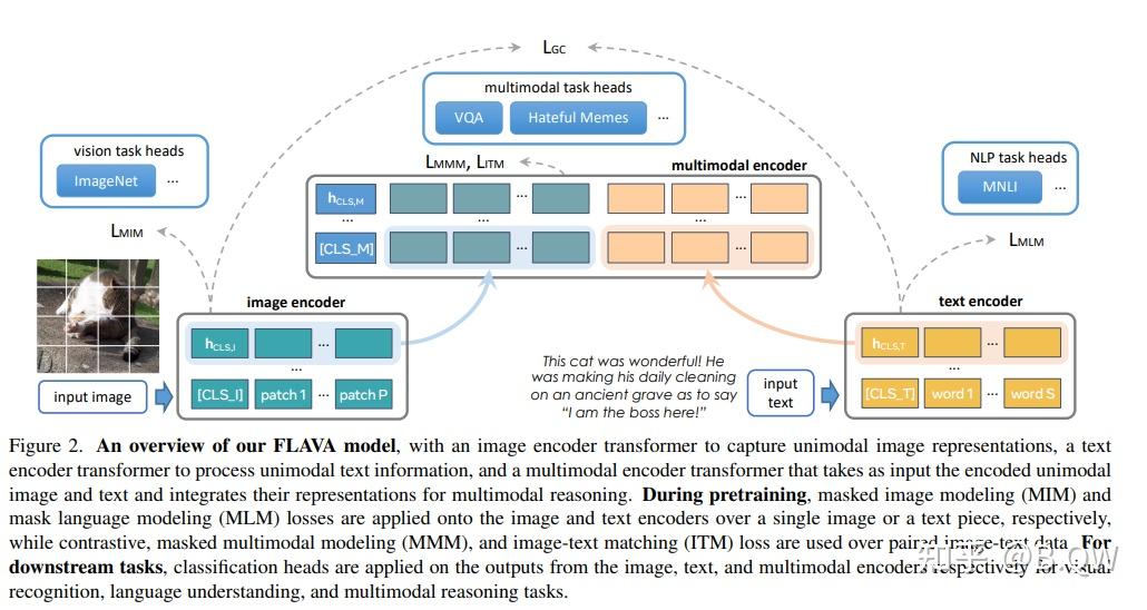 【多模态】FLAVA：一个基础语言和视觉对齐模型 - 知乎