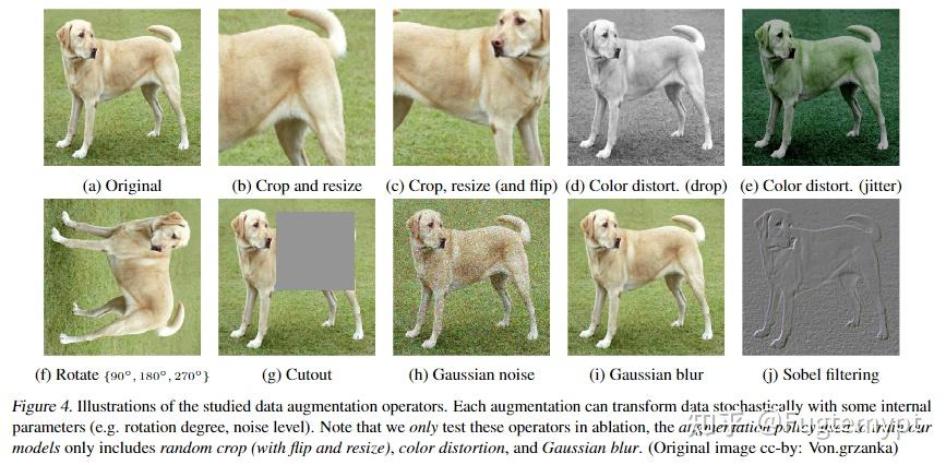 初探自监督学习：经典模型解读 - 知乎