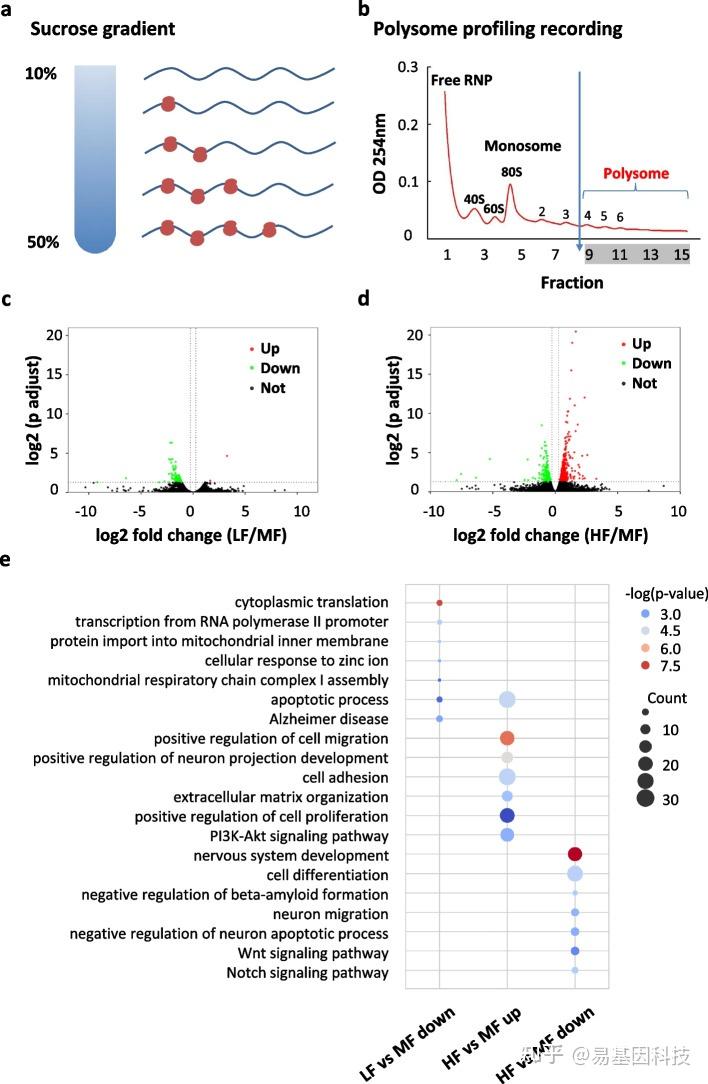 rna-bs-m5c-mrna
