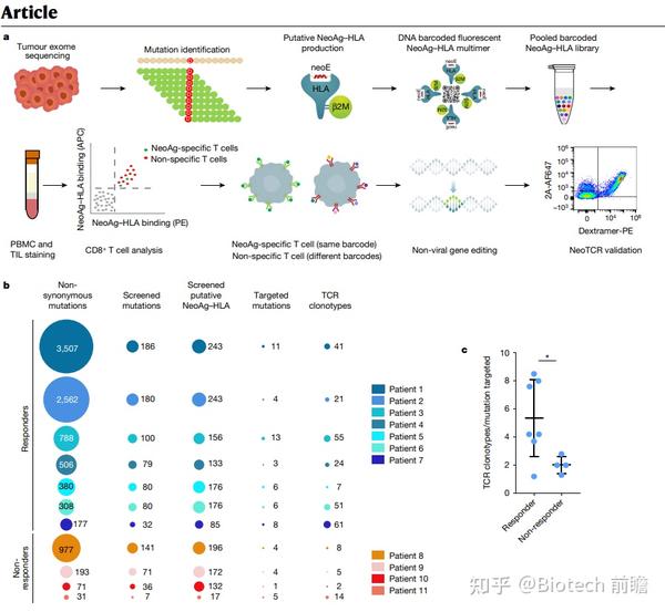 Nature丨新抗原靶向CD8+T细胞应答是PD-1治疗关键 - 知乎