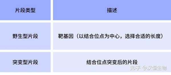 荧光素酶干货系列② | 【应用篇】 miRNA与靶基因互作研究 - 知乎