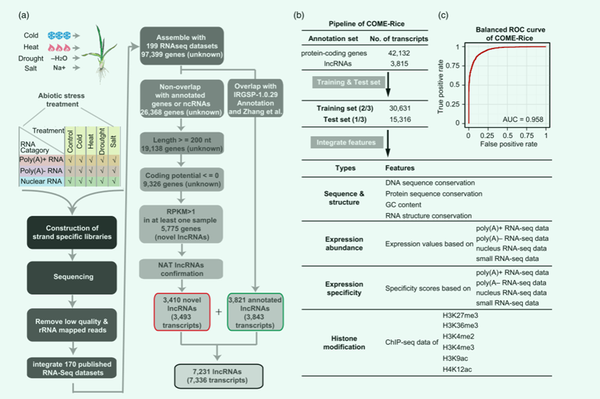 lncRNA鉴定方法整理 - 知乎