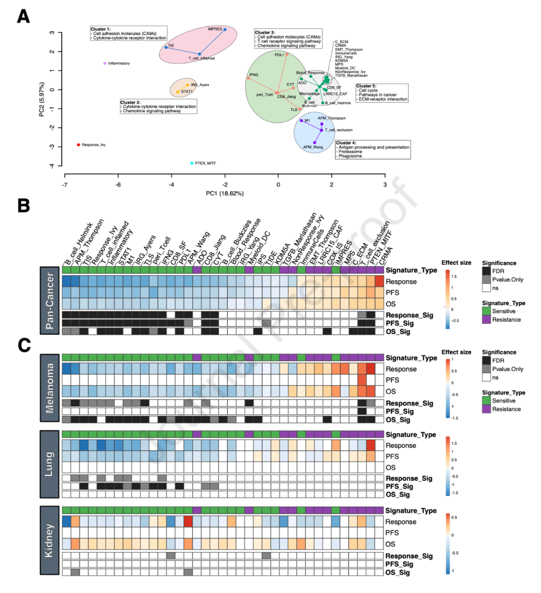 Ann. Oncol 丨 大数据分析免疫检查点阻断反应以提高治疗效果 - 知乎